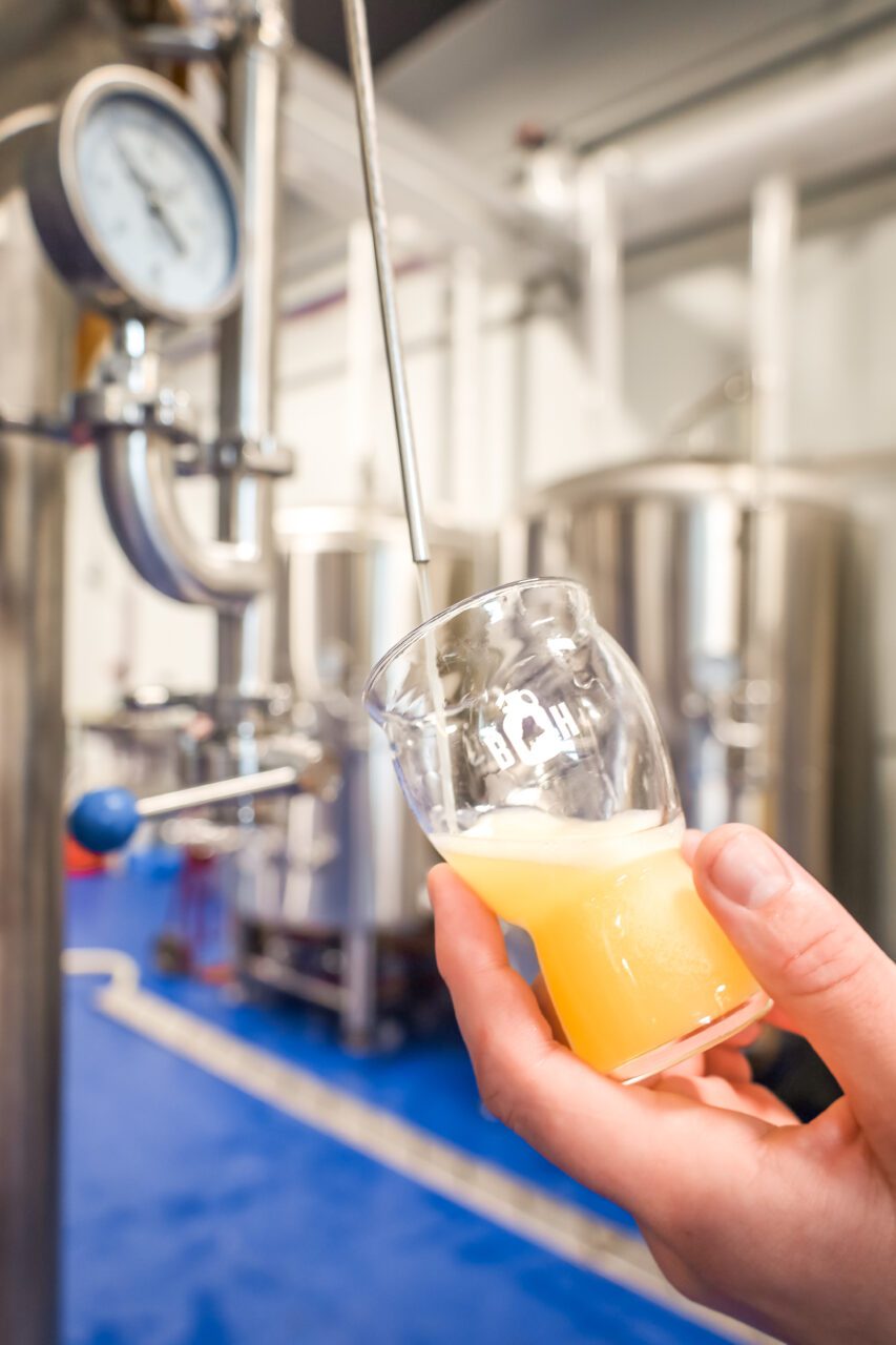 New on Tap: The Opus Series & Maine Brewer's Guild Collab!